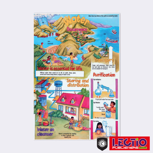 Foundation Phase Posters – Lectio Publishers