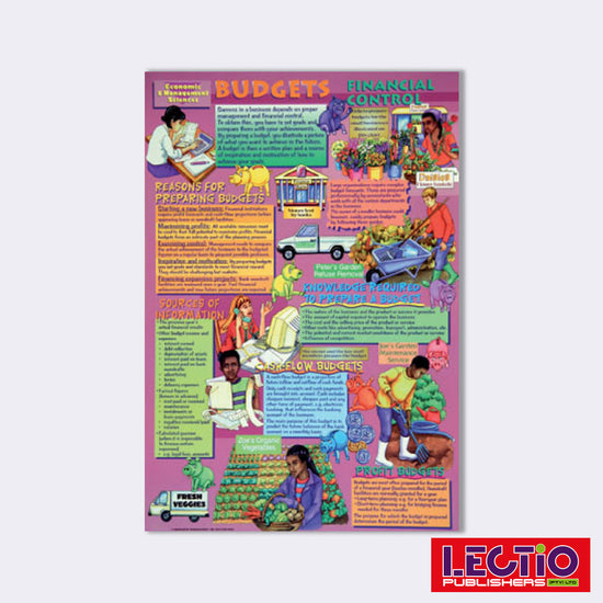 Business Studies Wall Chart Set Grade 10-12 – Lectio Publishers